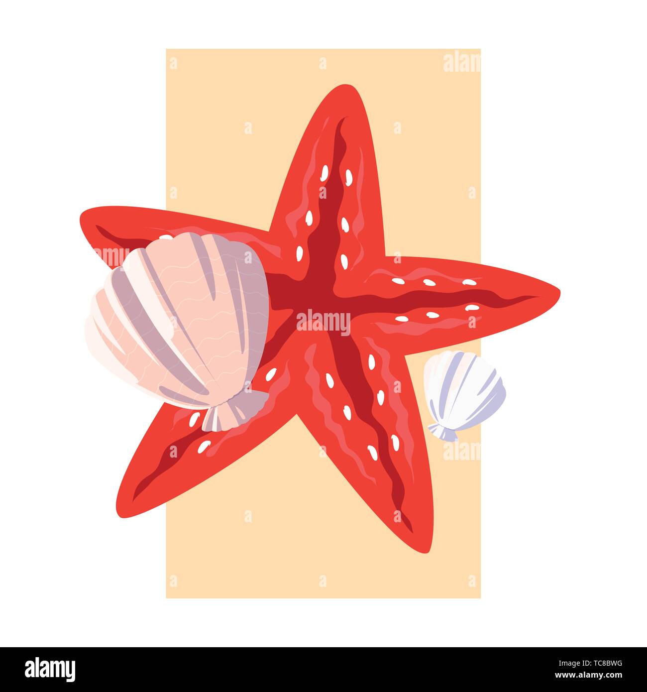 Sea star and shell design, Ocean starfish nature beach underwater and ...