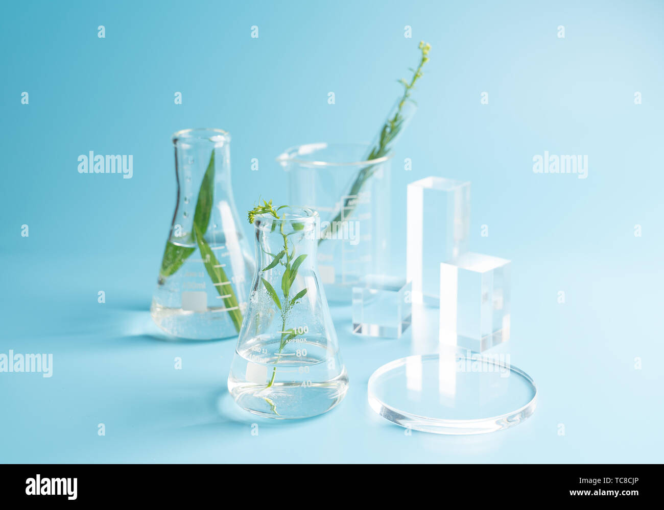 Equipment commonly used in medical research and chemical experiments ...