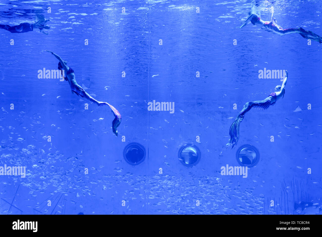 Mermaid performance at Haichang Ocean Park, Shanghai Stock Photo - Alamy