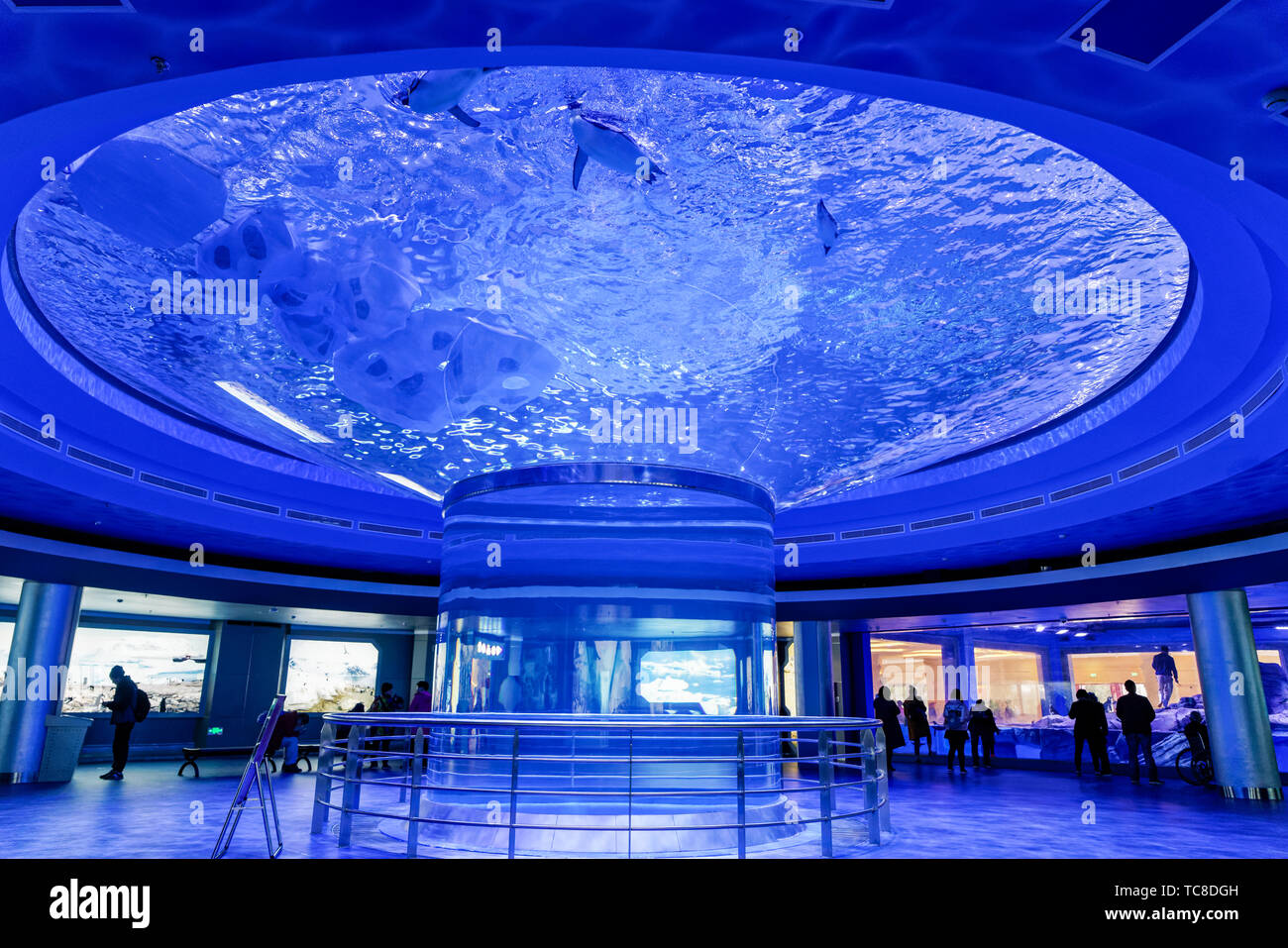 Penguin Pavilion, Haichang Ocean Park, Shanghai Stock Photo - Alamy