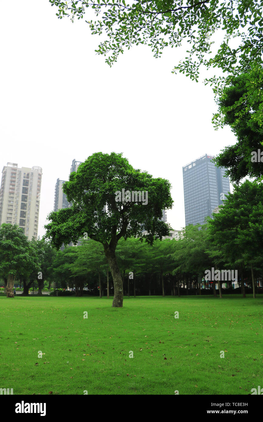 Plant science map Stock Photo - Alamy