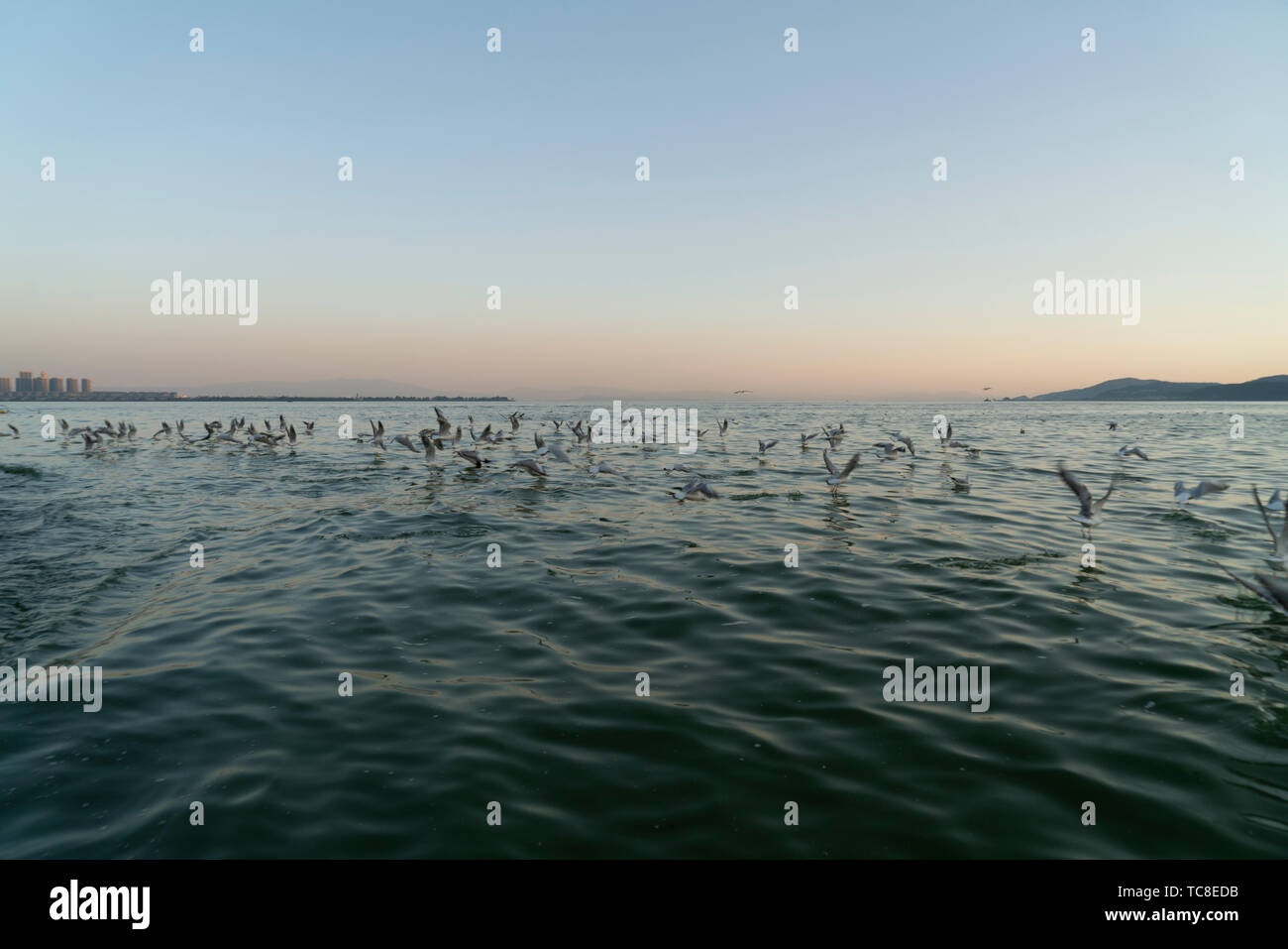 Dianchi Lake Scenery Stock Photo - Alamy