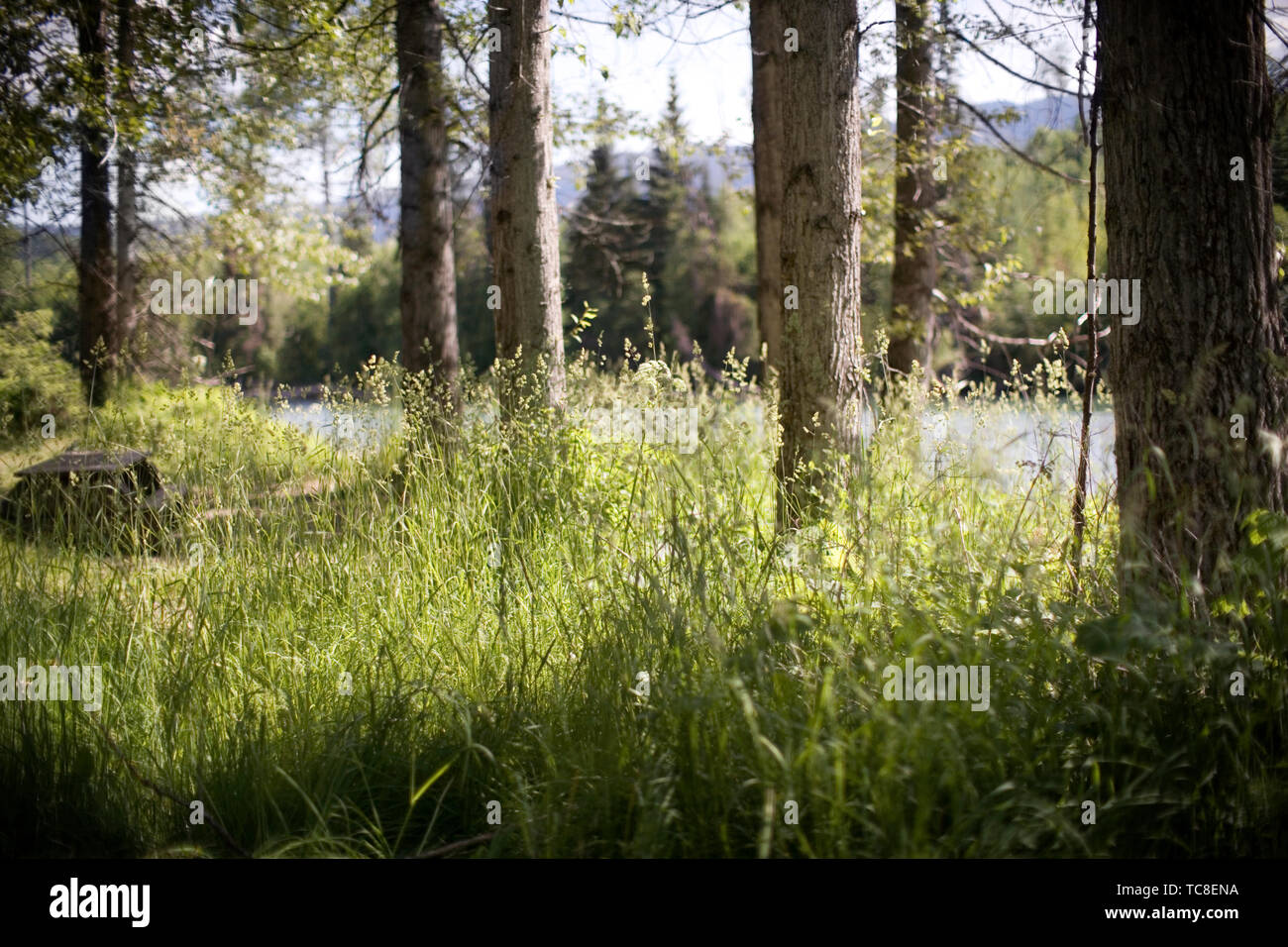 Long horizontal images hi-res stock photography and images - Alamy