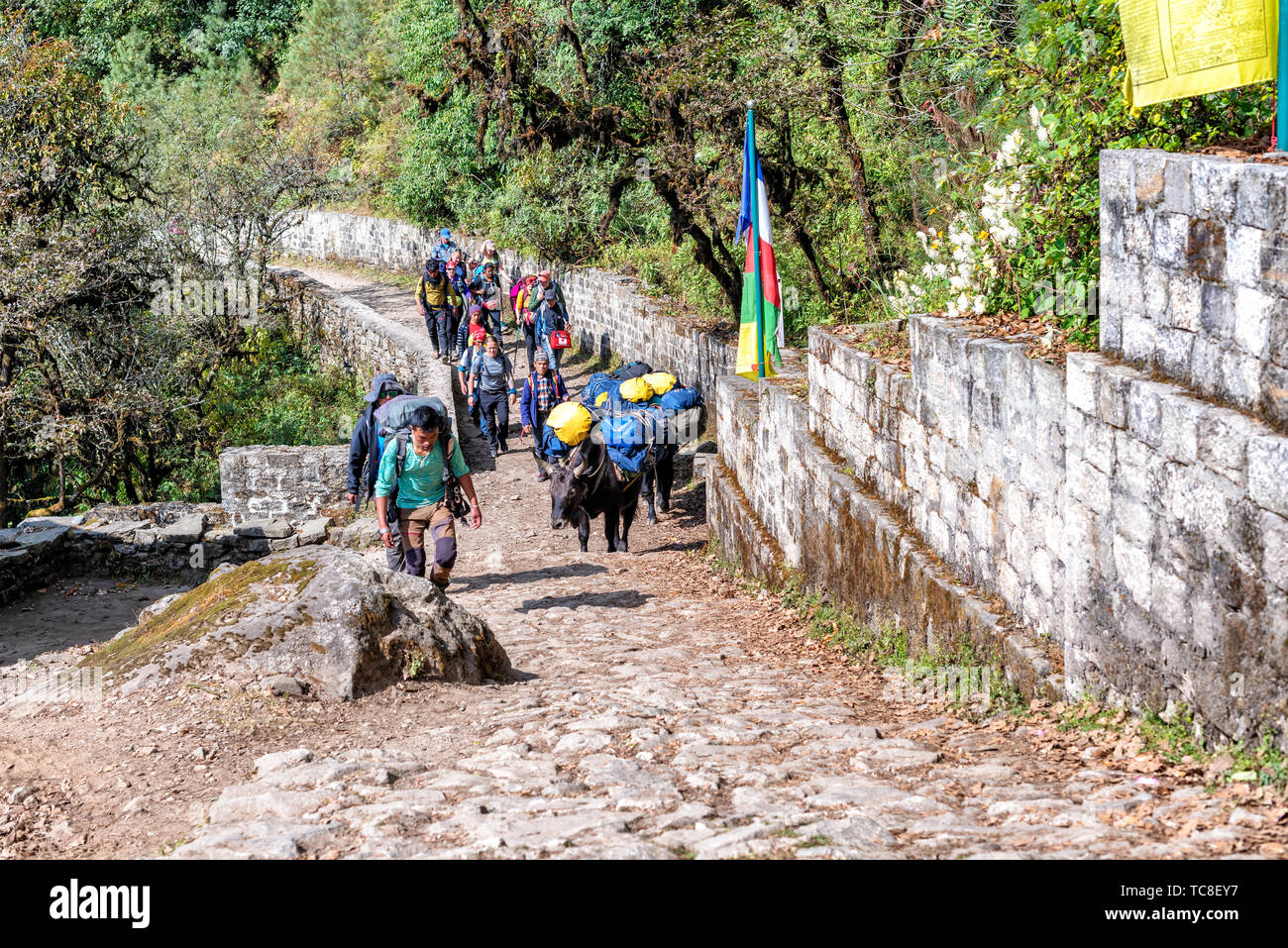 Phakding, Nepal - Oct 25, 2018: Yaks and trekkers on the trail to ...