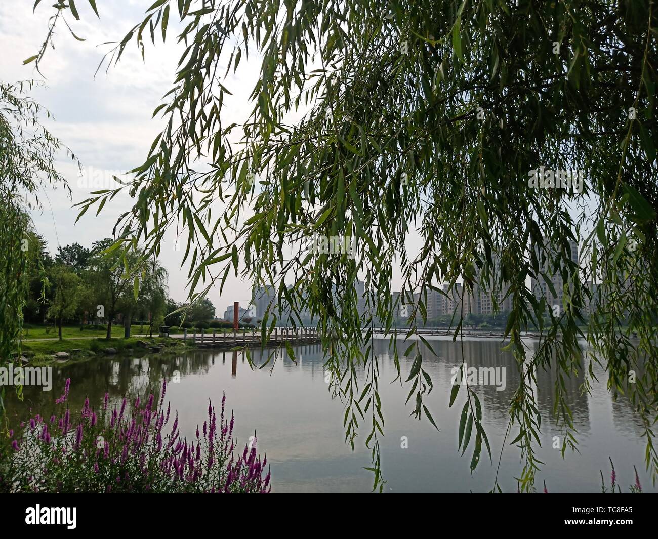 Beautiful natural world, limitless scenery Stock Photo - Alamy