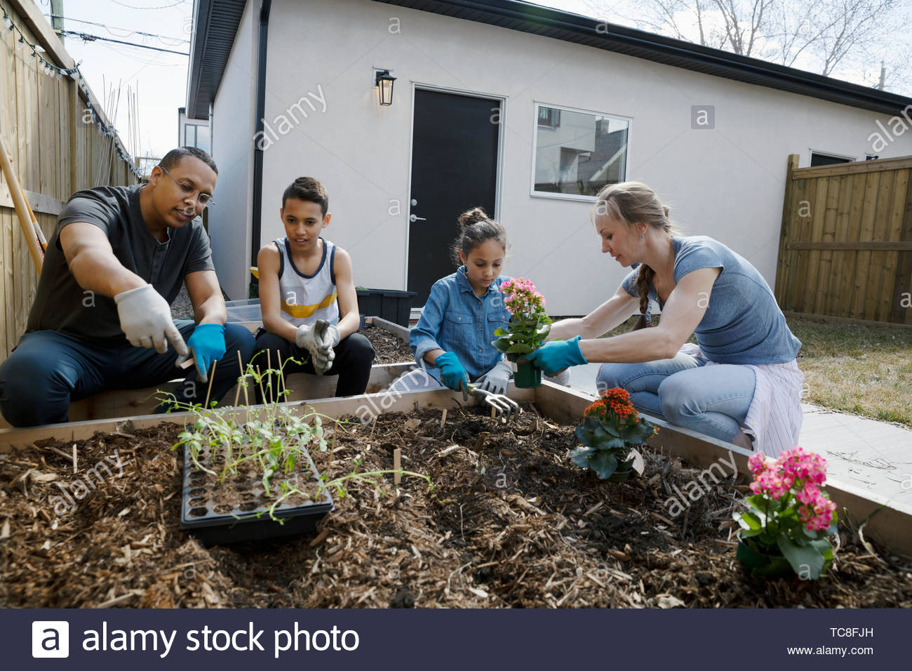 Ethnic family planting flowers hi-res stock photography and images - Alamy