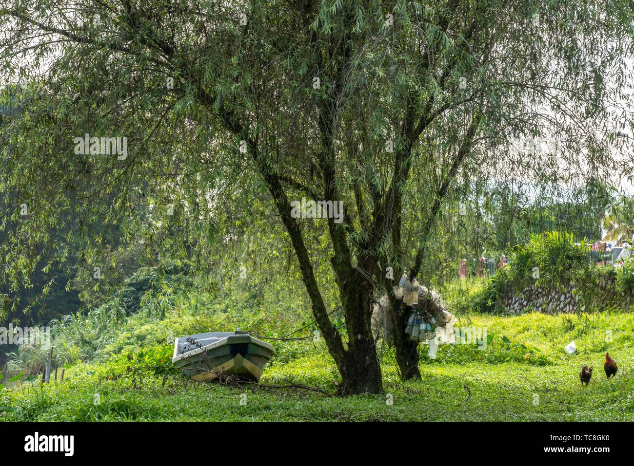View of Siniawan waterfront, Sarawak, Malaysia Stock Photo - Alamy
