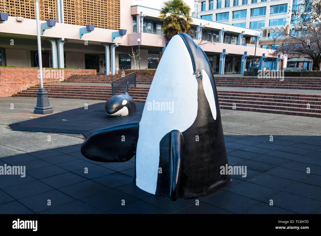 Victoria Canada Orca High Resolution Stock Photography and Images - Alamy