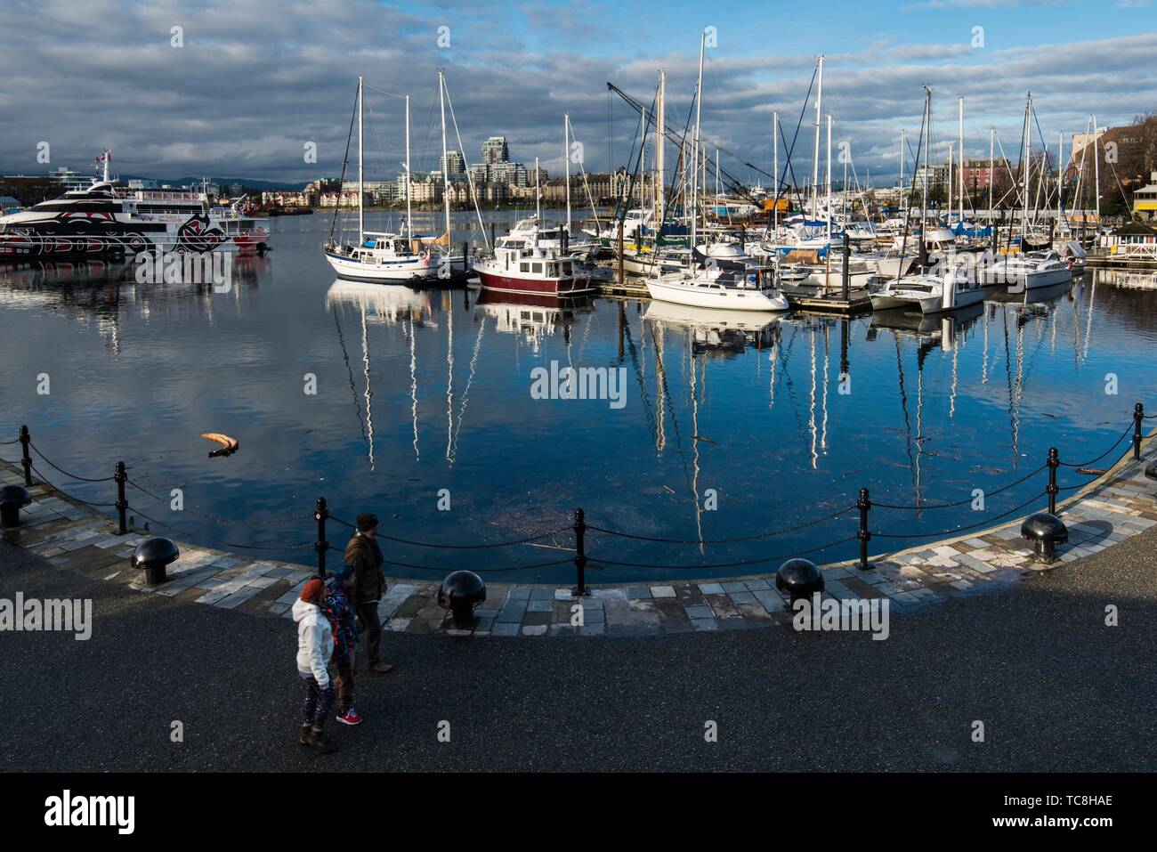 Downtown victoria harbor hi-res stock photography and images - Alamy