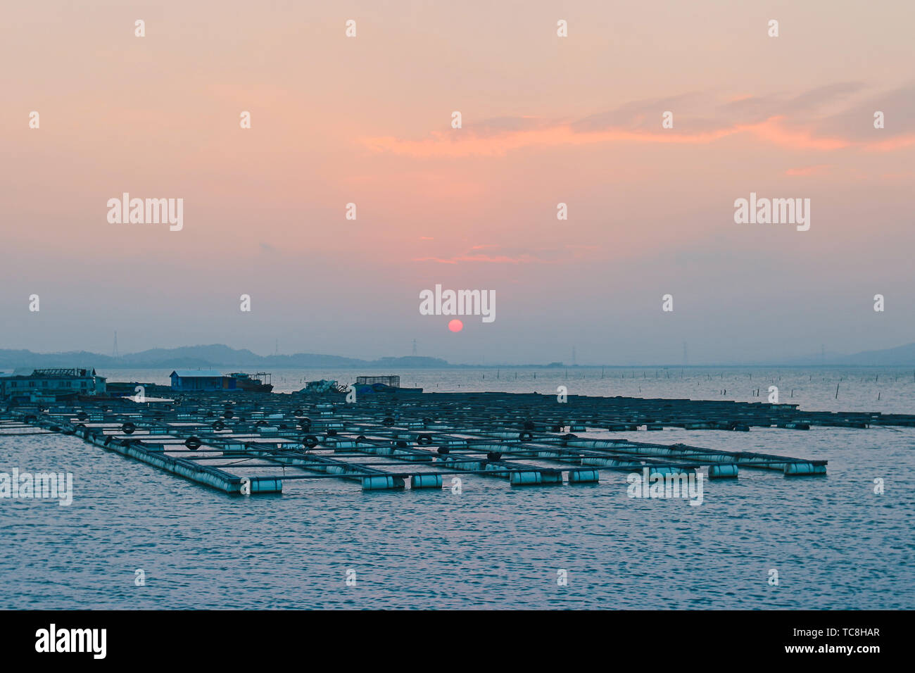 Marine pasture aquaculture farms hi-res stock photography and images ...