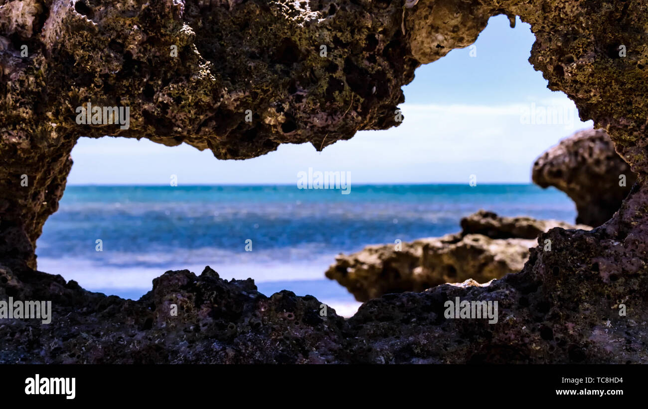 Reef, frame, ocean Stock Photo - Alamy