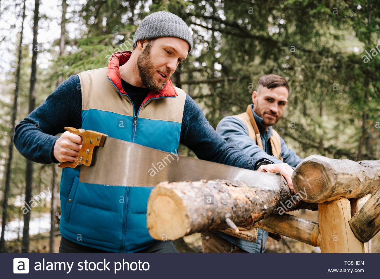 Two men saw hi-res stock photography and images - Alamy