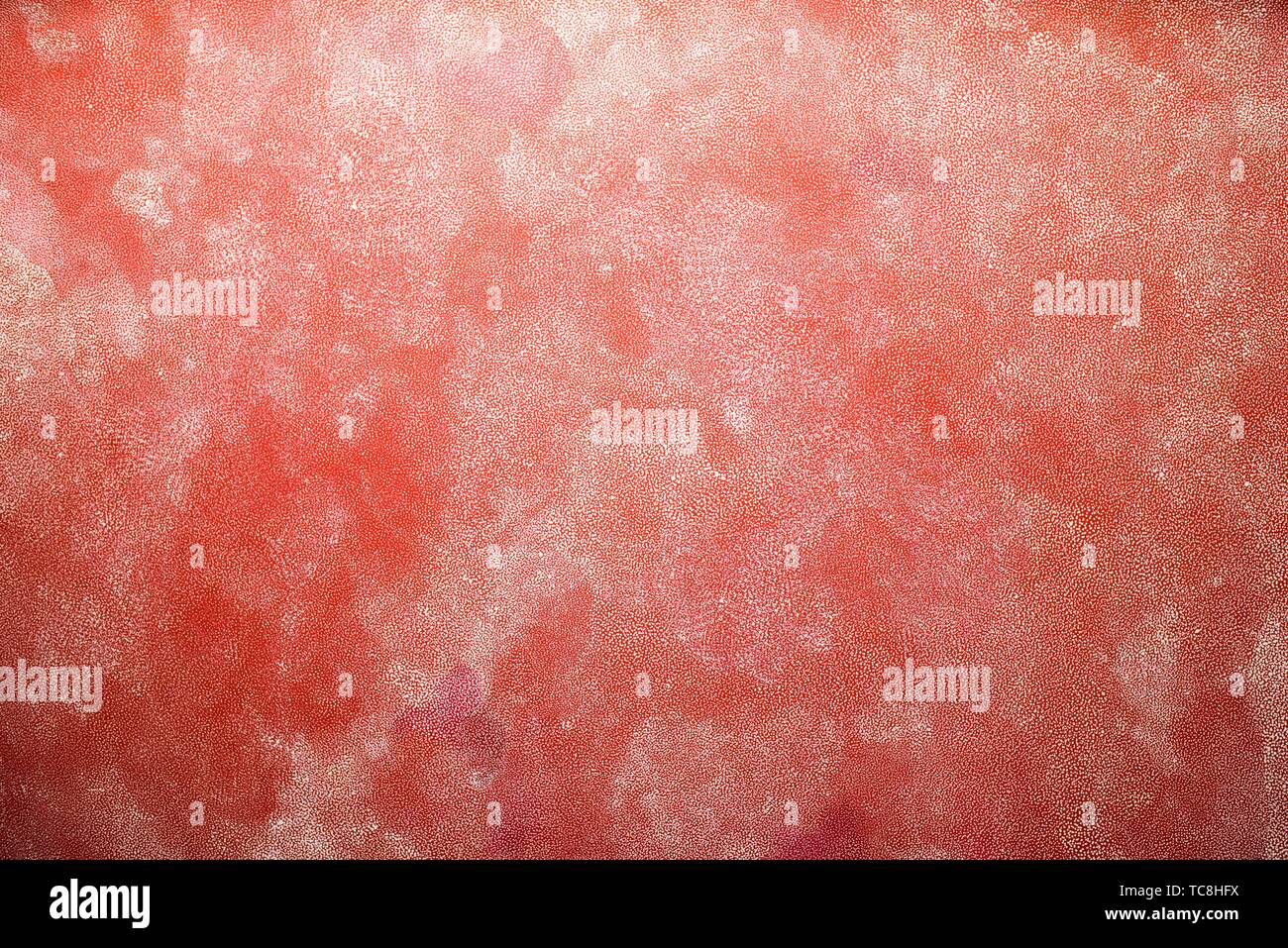 Australian plum hi-res stock photography and images - Alamy