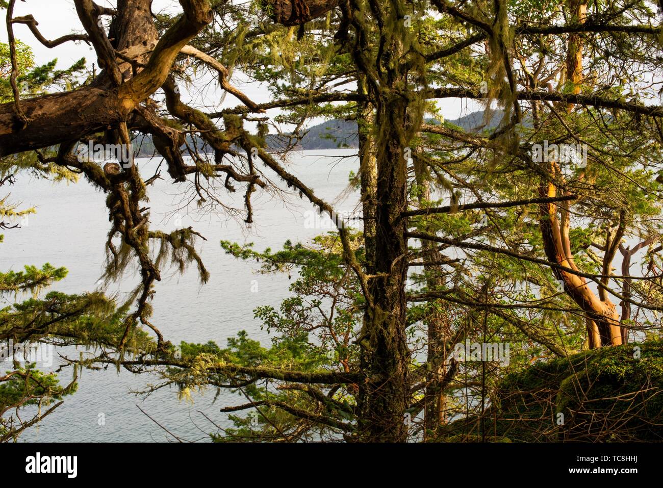 Sooke canada hi-res stock photography and images - Alamy