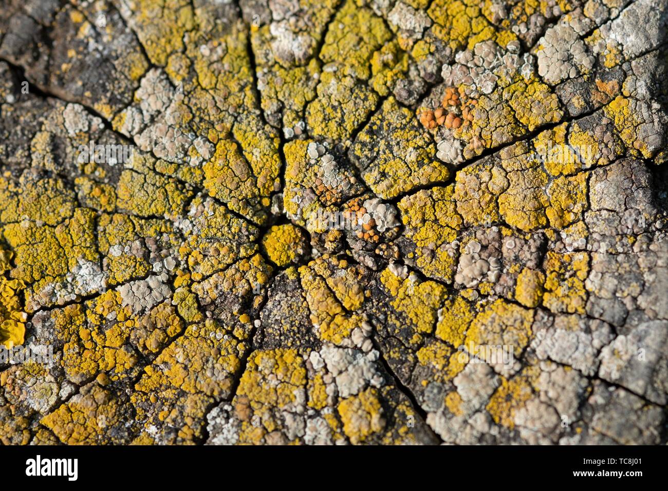 Mild nature hi-res stock photography and images - Alamy