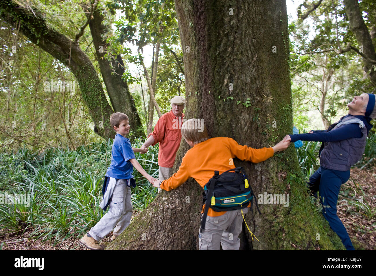 Grandparents and grandchildren dancing around tree Stock Photo - Alamy
