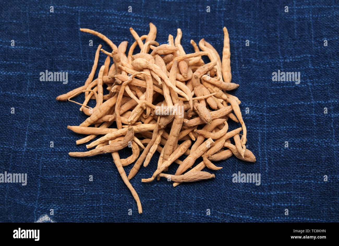 Taizi hi-res stock photography and images - Alamy