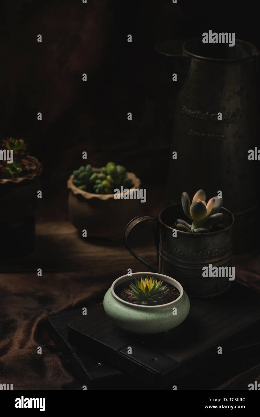 Container pottery pottery still life table hi-res stock photography and ...