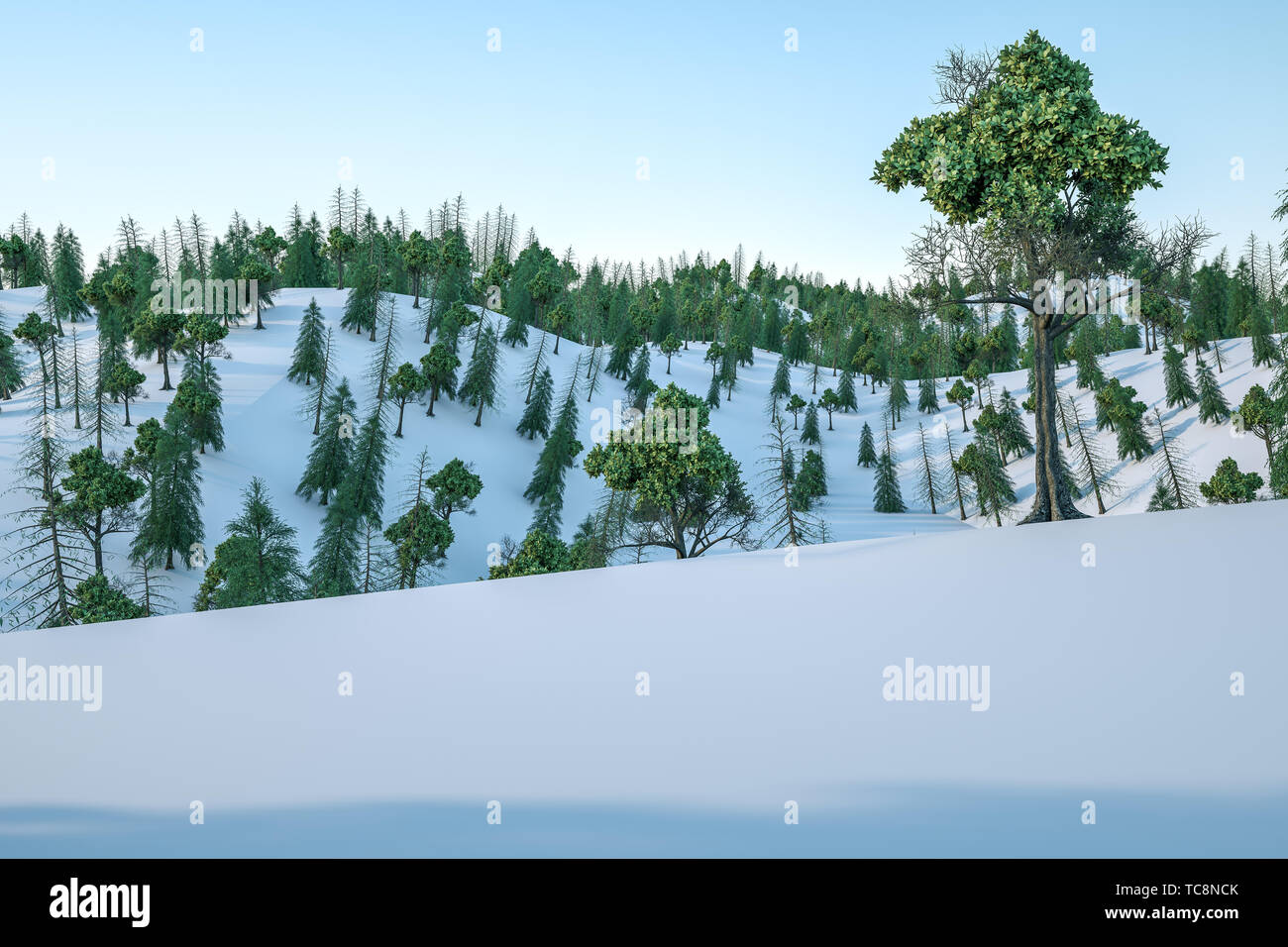 Three-dimensional modeling, forests and snow Stock Photo - Alamy