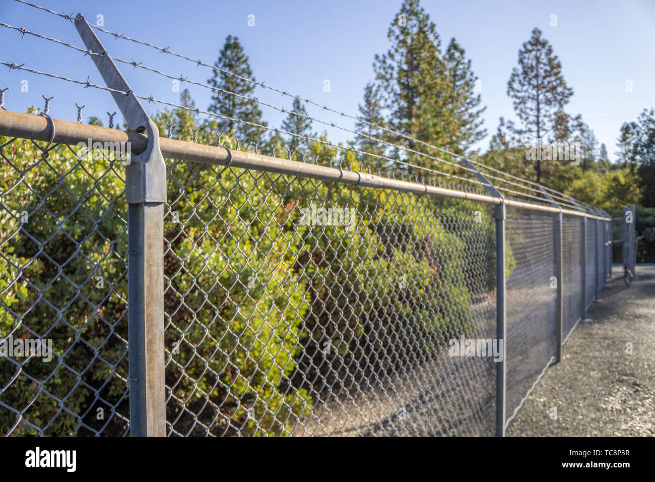 barbed wire border Stock Photo - Alamy
