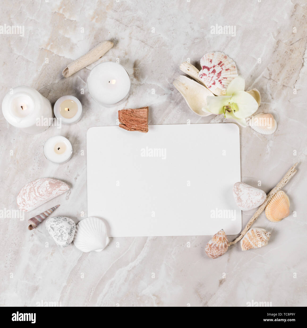 Frame from natural elements Stock Photo - Alamy