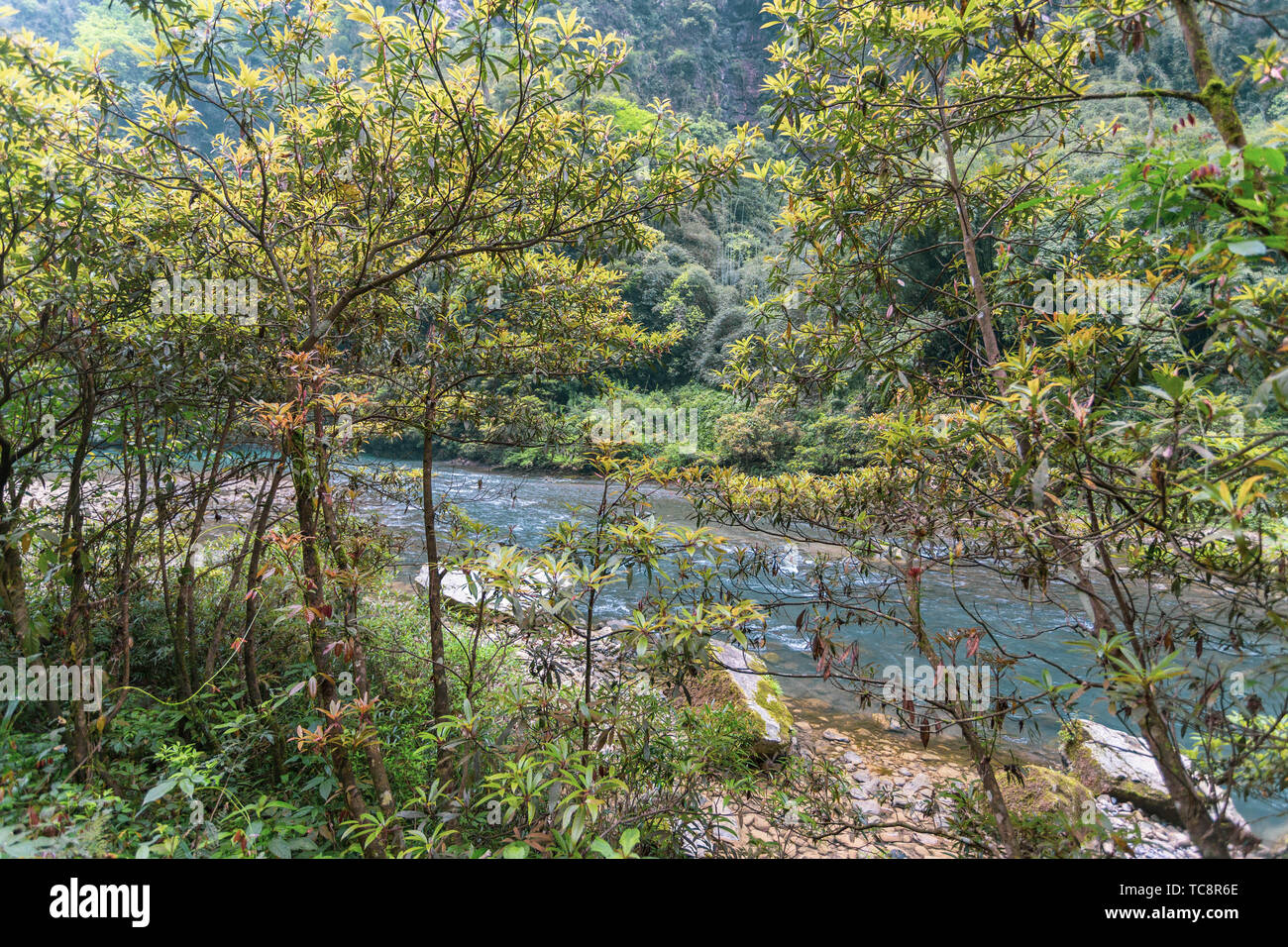 Pengshui Ai River Scenic Area Stock Photo - Alamy