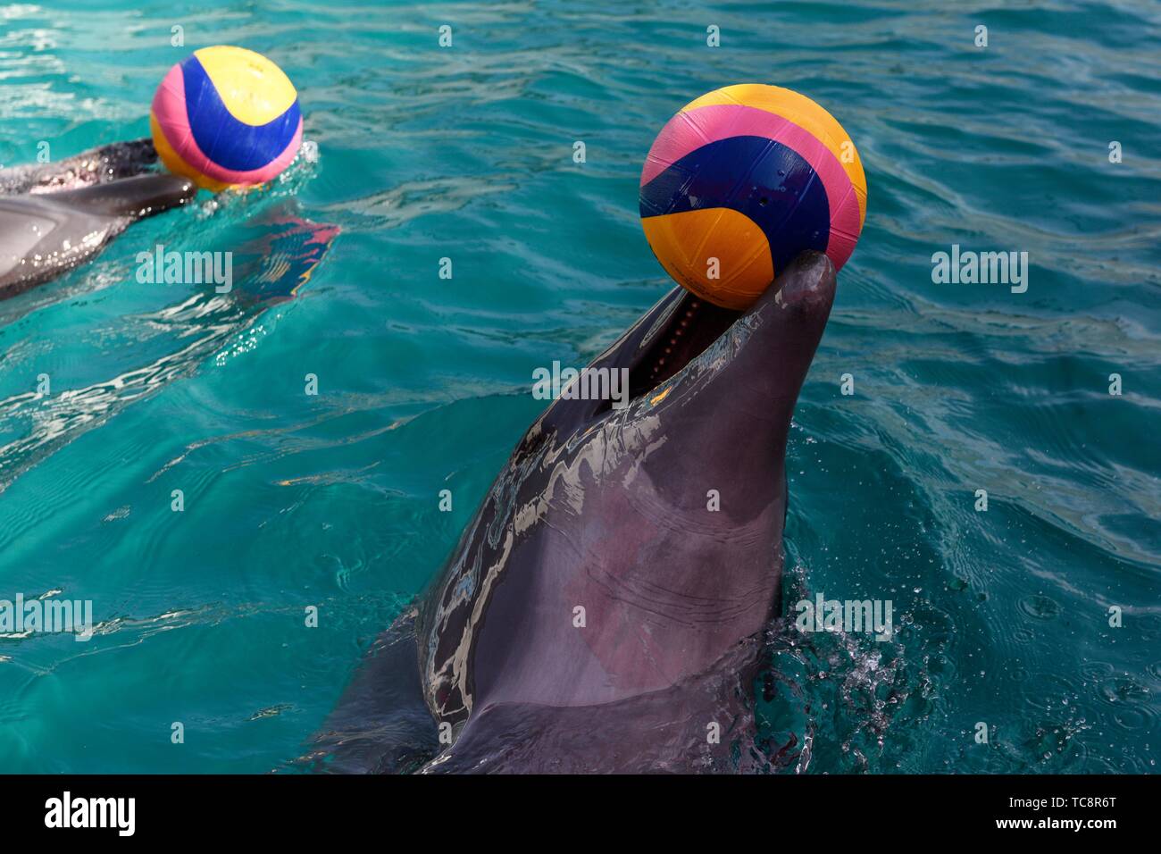 Playing ball swimming pool hi-res stock photography and images - Alamy