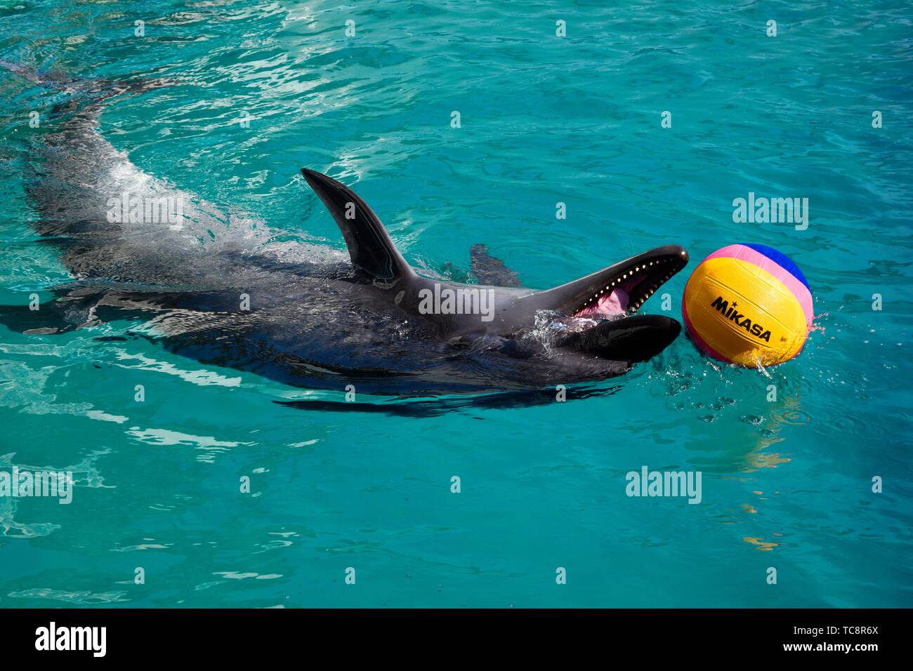 Swim ball hi-res stock photography and images - Alamy