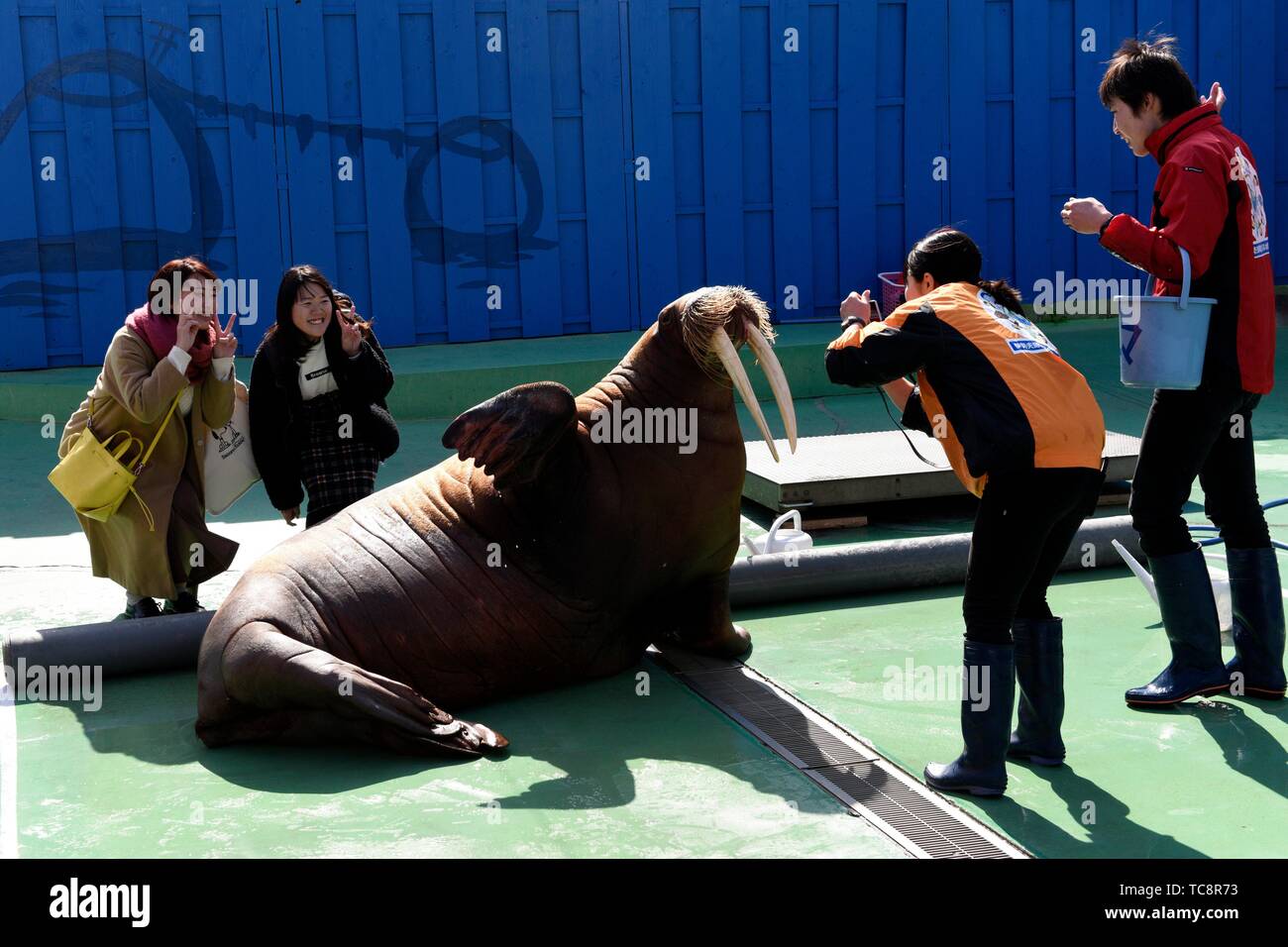 Show aquarium hi-res stock photography and images - Alamy