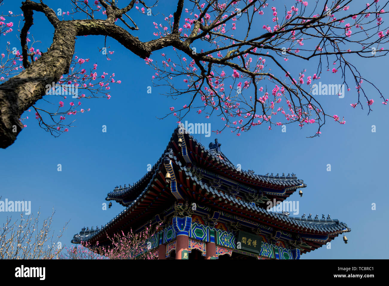Nanjing Ming Xiaoling Guan Mei Xuan Stock Photo - Alamy