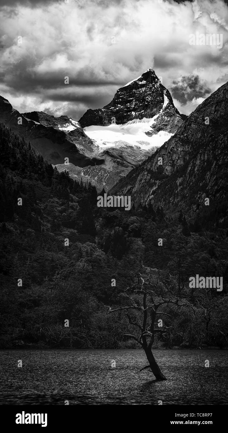 Mix area Black and White Stock Photos & Images - Alamy