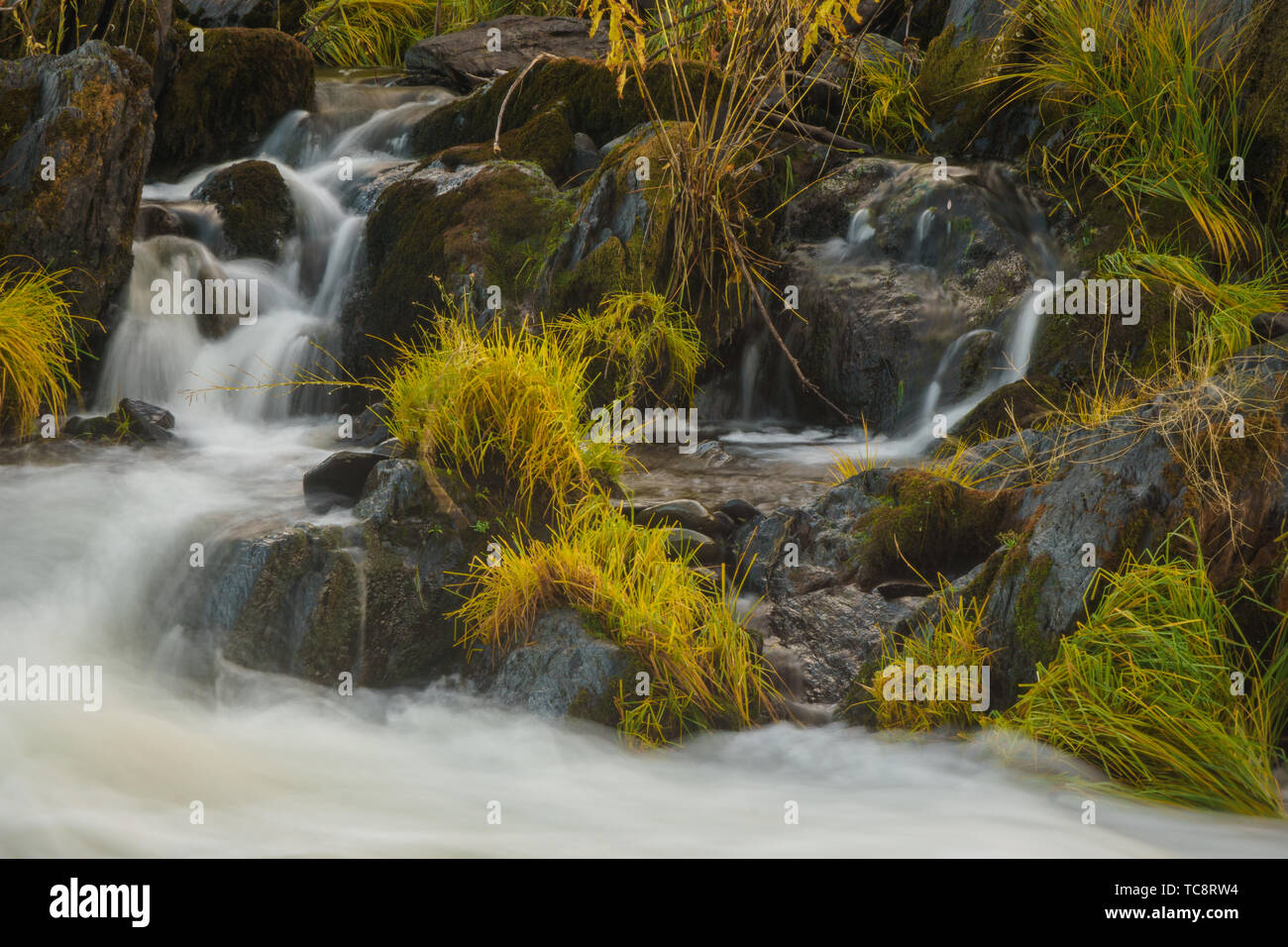 waterfalls and green grass Stock Photo - Alamy