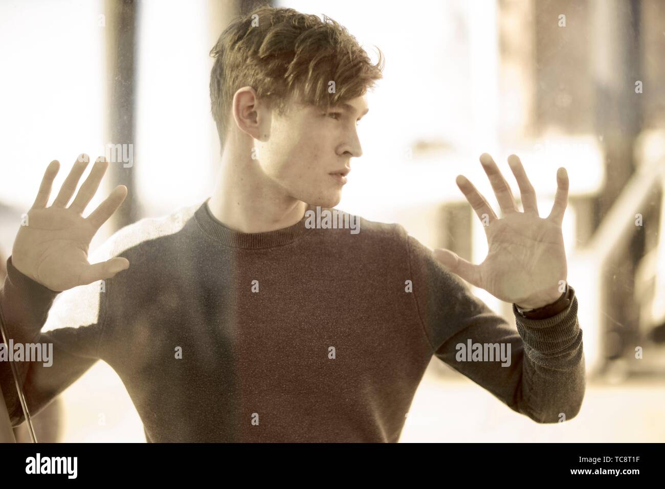 young model man behind glass window, in Hamburg, Germany Stock Photo ...