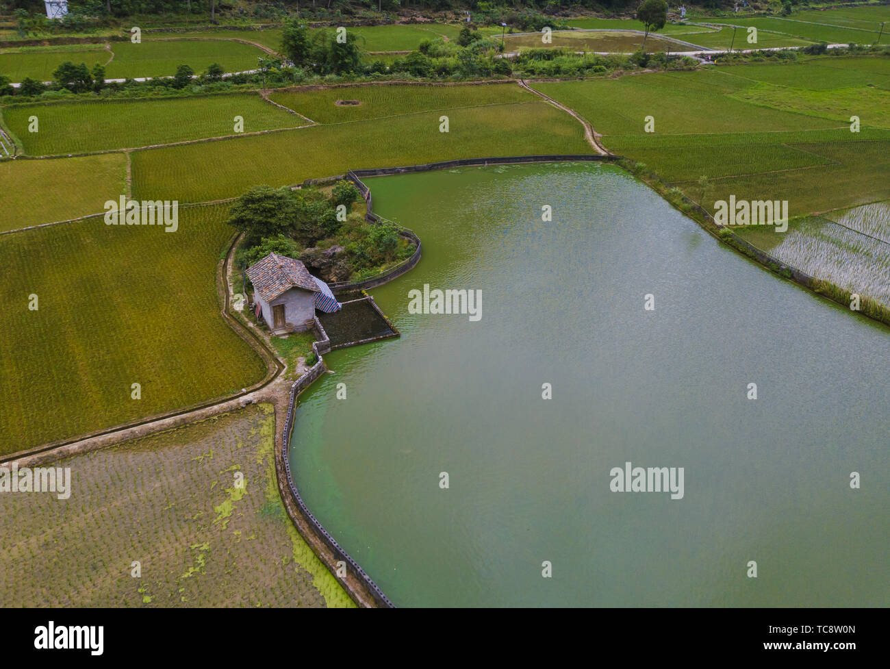 Aerial shot of farmland ponds and houses in rural southern China Stock ...