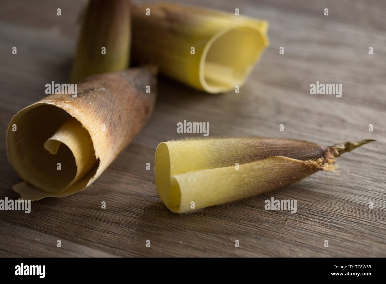 Bamboo shell hi-res stock photography and images - Alamy