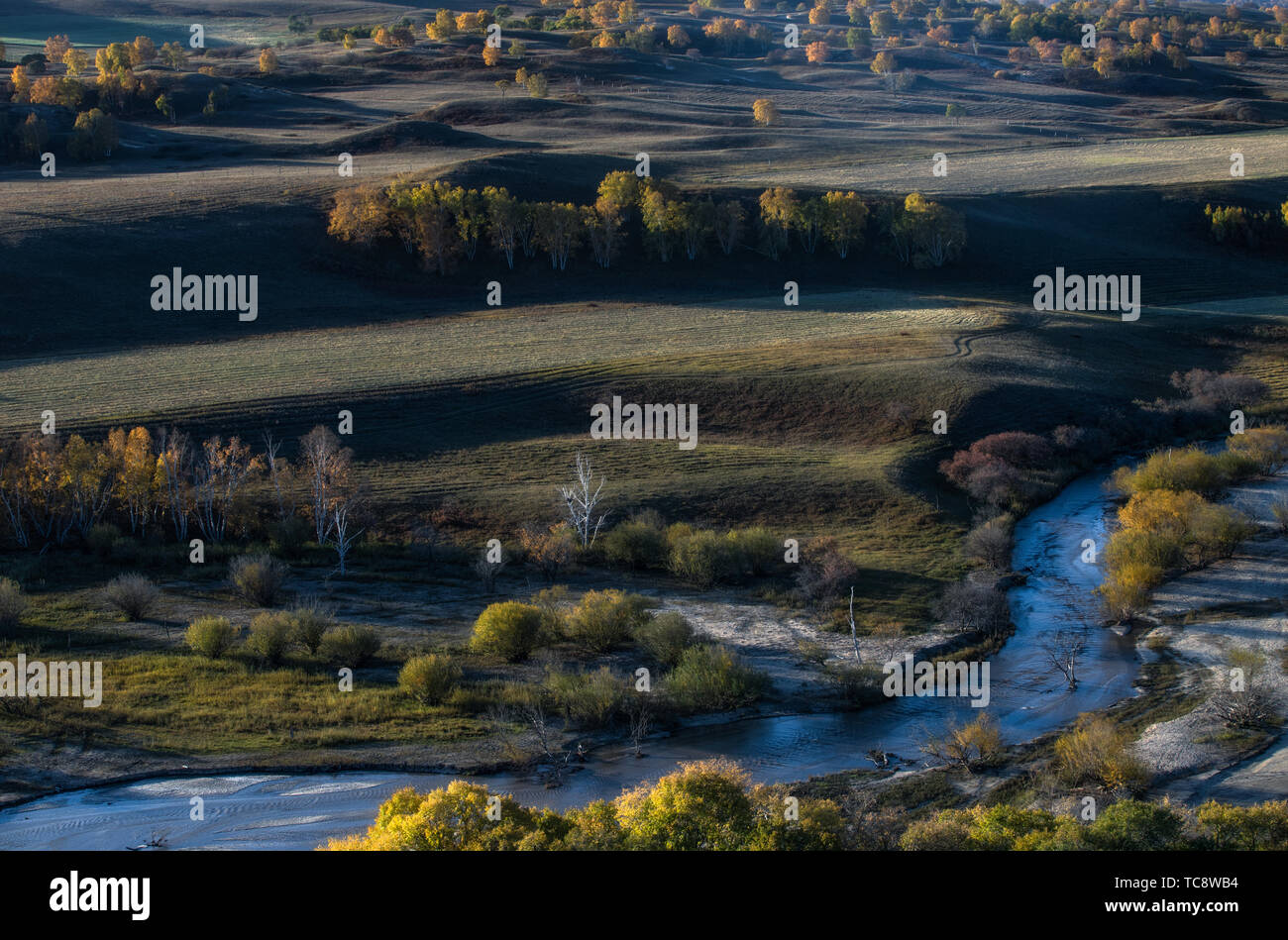 The wind on the barnacles Stock Photo - Alamy