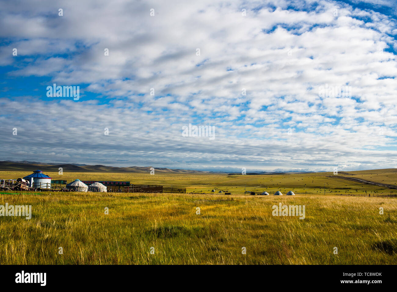 The autumn of the Morgge Prairie Tribe in Hulunbuir, Inner Mongolia is ...