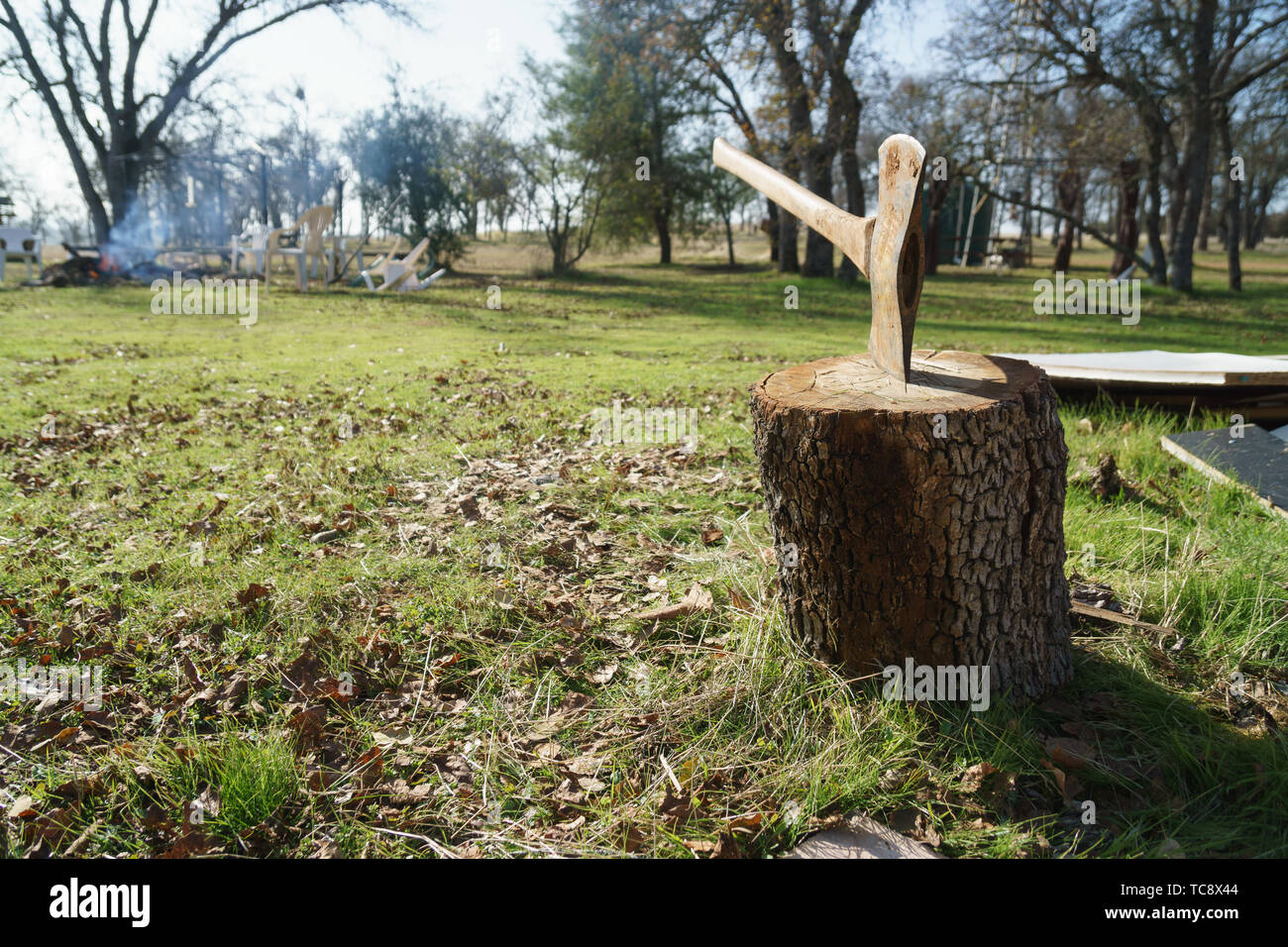 Axe in stump chopping wood for fire Stock Photo - Alamy