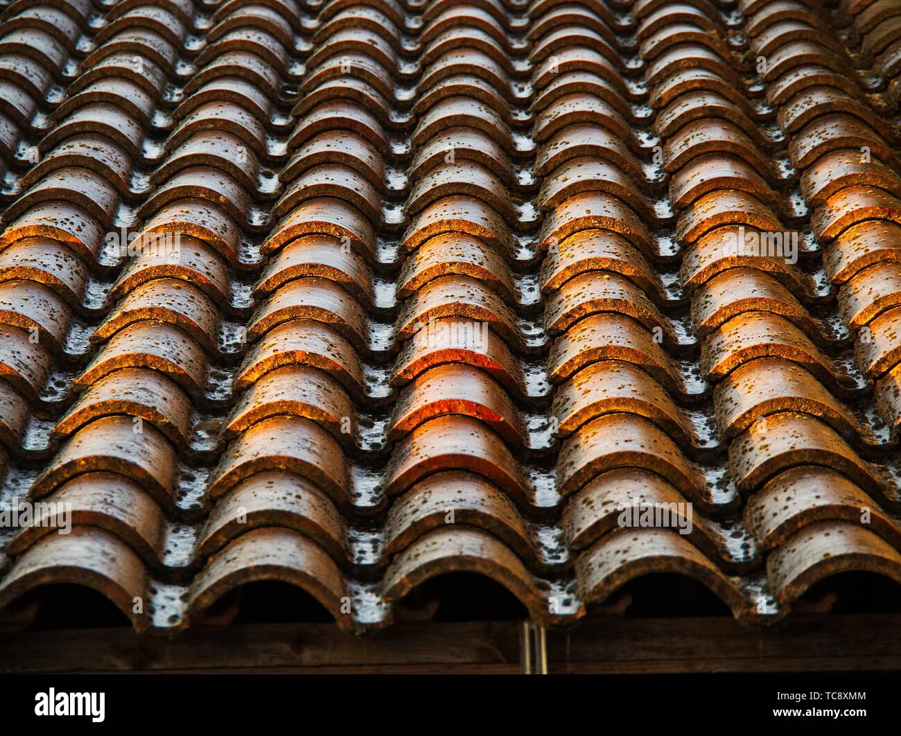 Canal tiles hi-res stock photography and images - Alamy