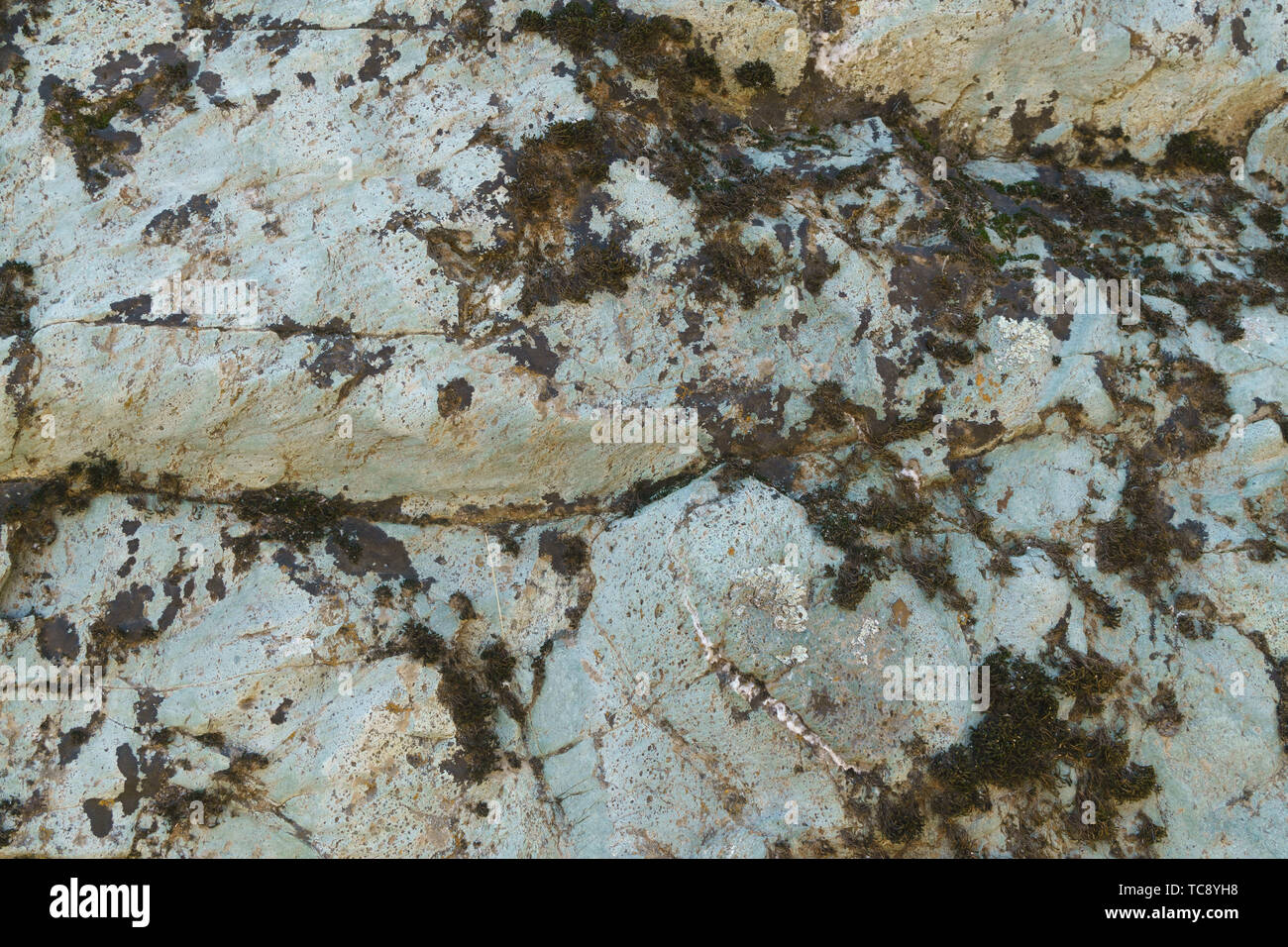 blue granite rock moss surface Stock Photo - Alamy