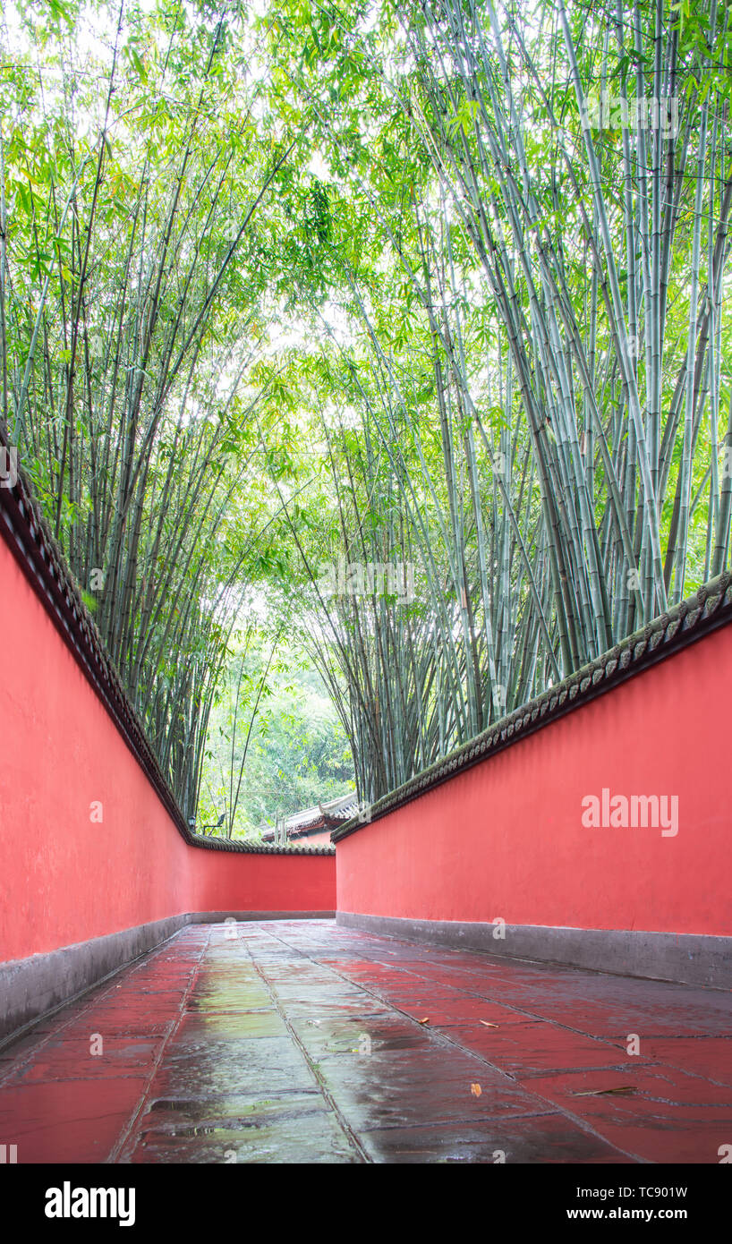 Red Wall and Bamboo Forest in Wuhou Temple Museum in Chengdu Stock ...