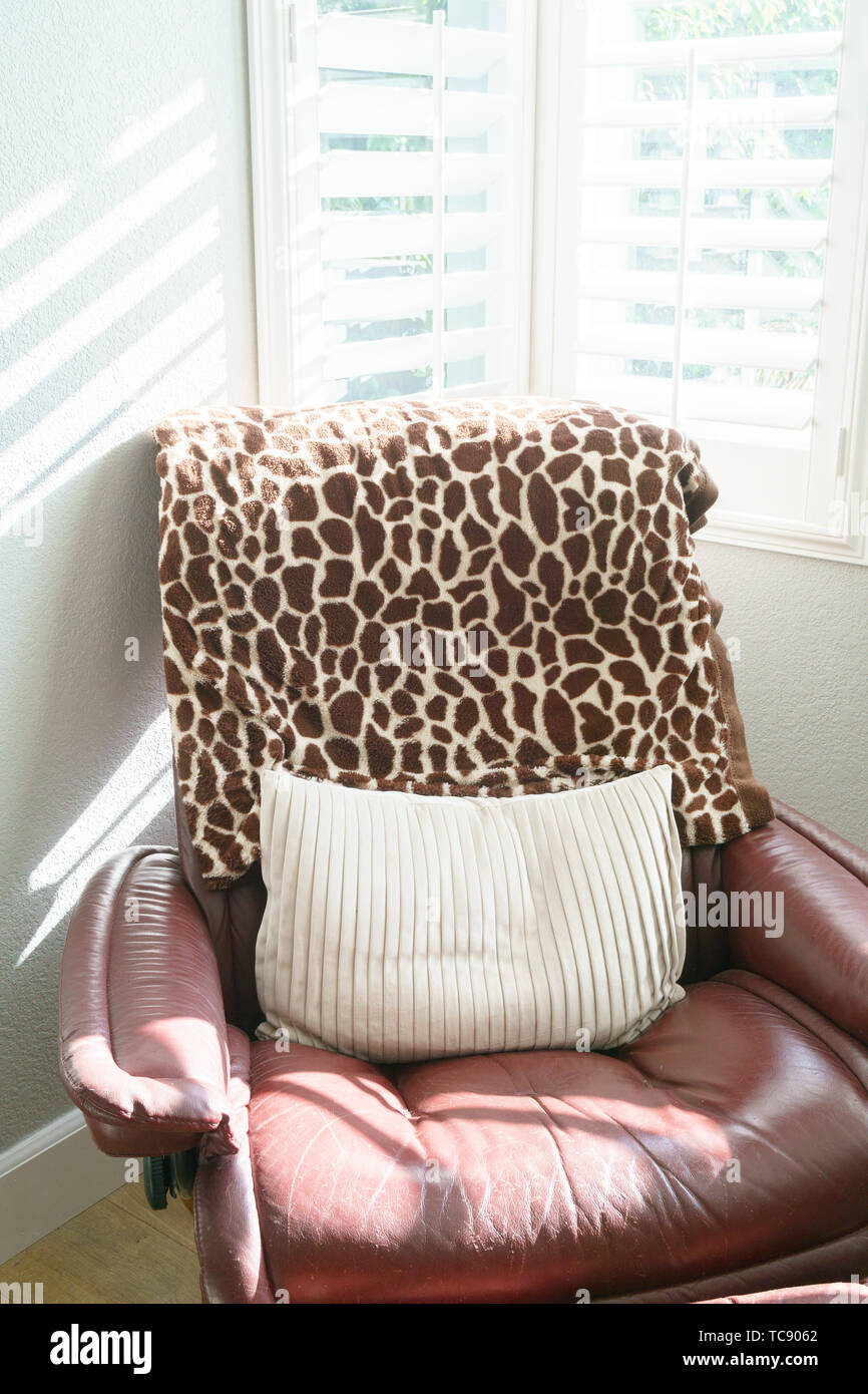 leather chair window Stock Photo - Alamy