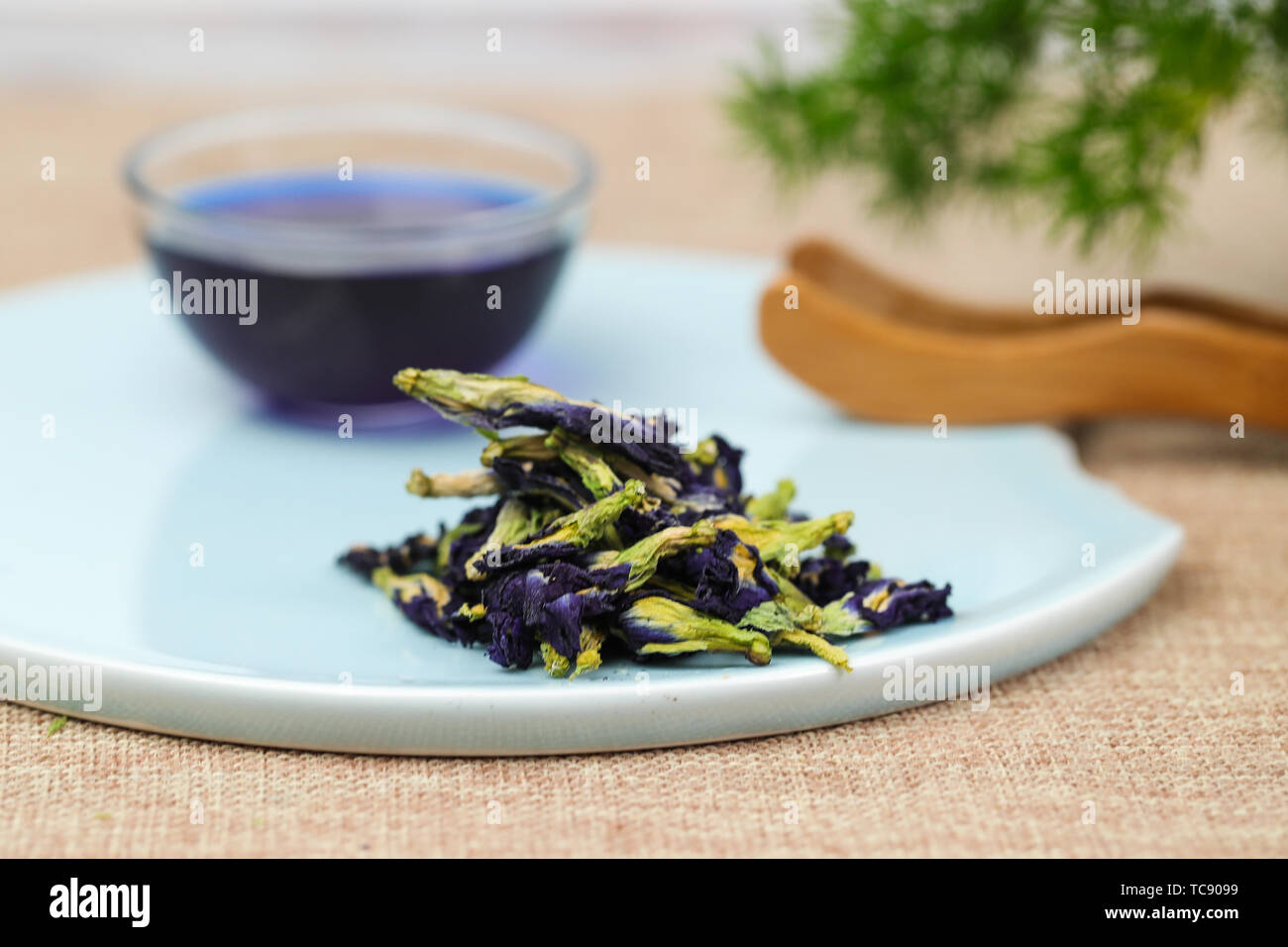Butterfly bean flower dried flower tea Stock Photo - Alamy