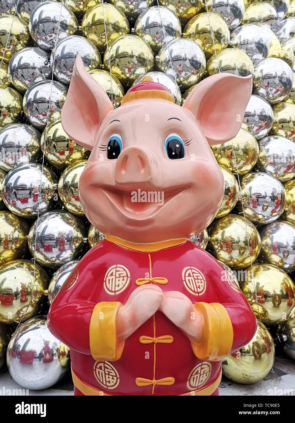 An auspicious celebration of the Year of the Pig Stock Photo - Alamy