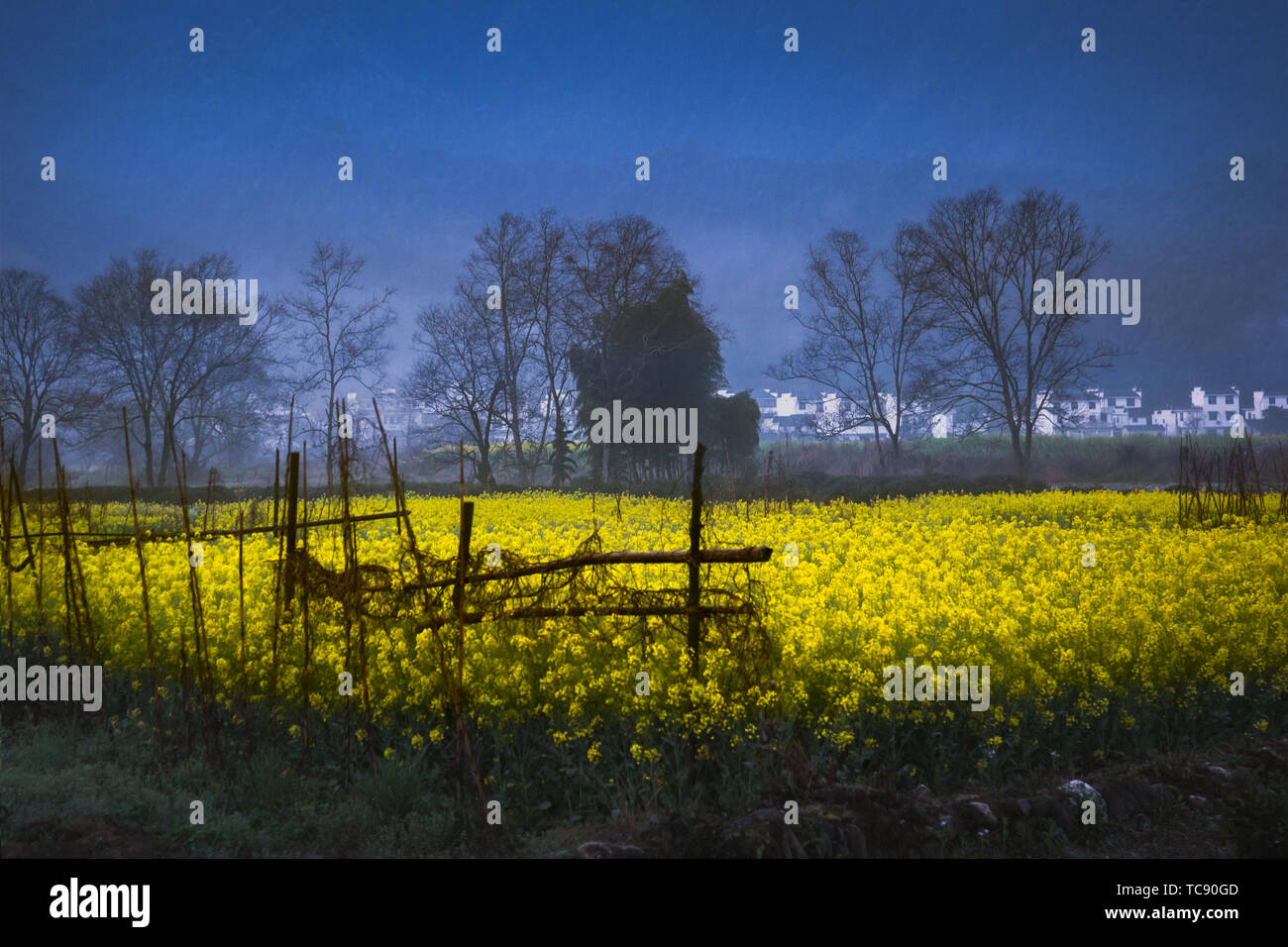 Damei scenery map Stock Photo - Alamy