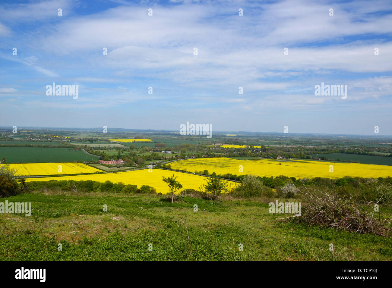 Aston Rowant Nature Reserve and Woodland, Oxfordshire, UK Stock Photo ...