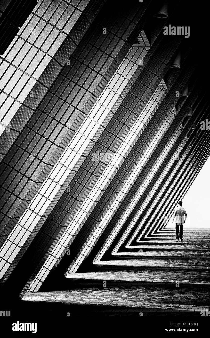 Everything Is Relative