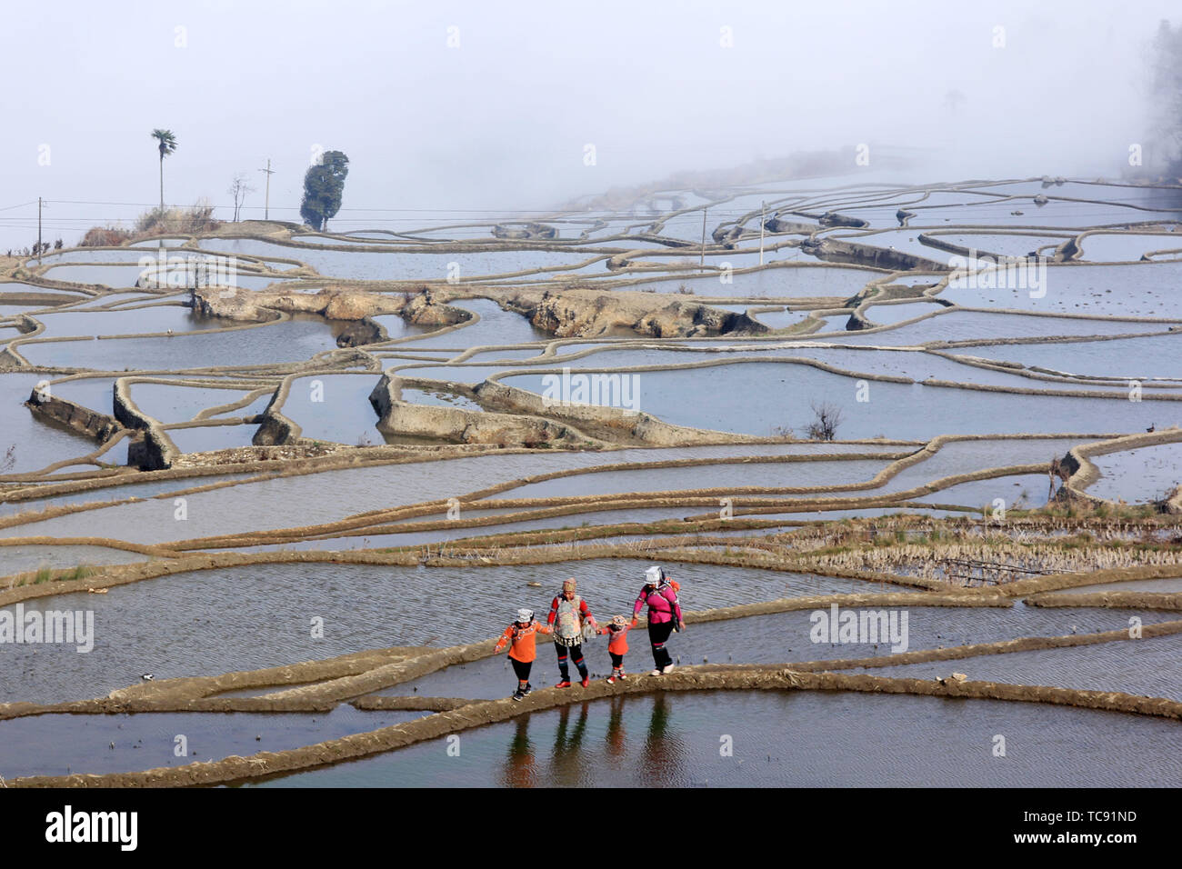 Yuanyang lake hi-res stock photography and images - Alamy