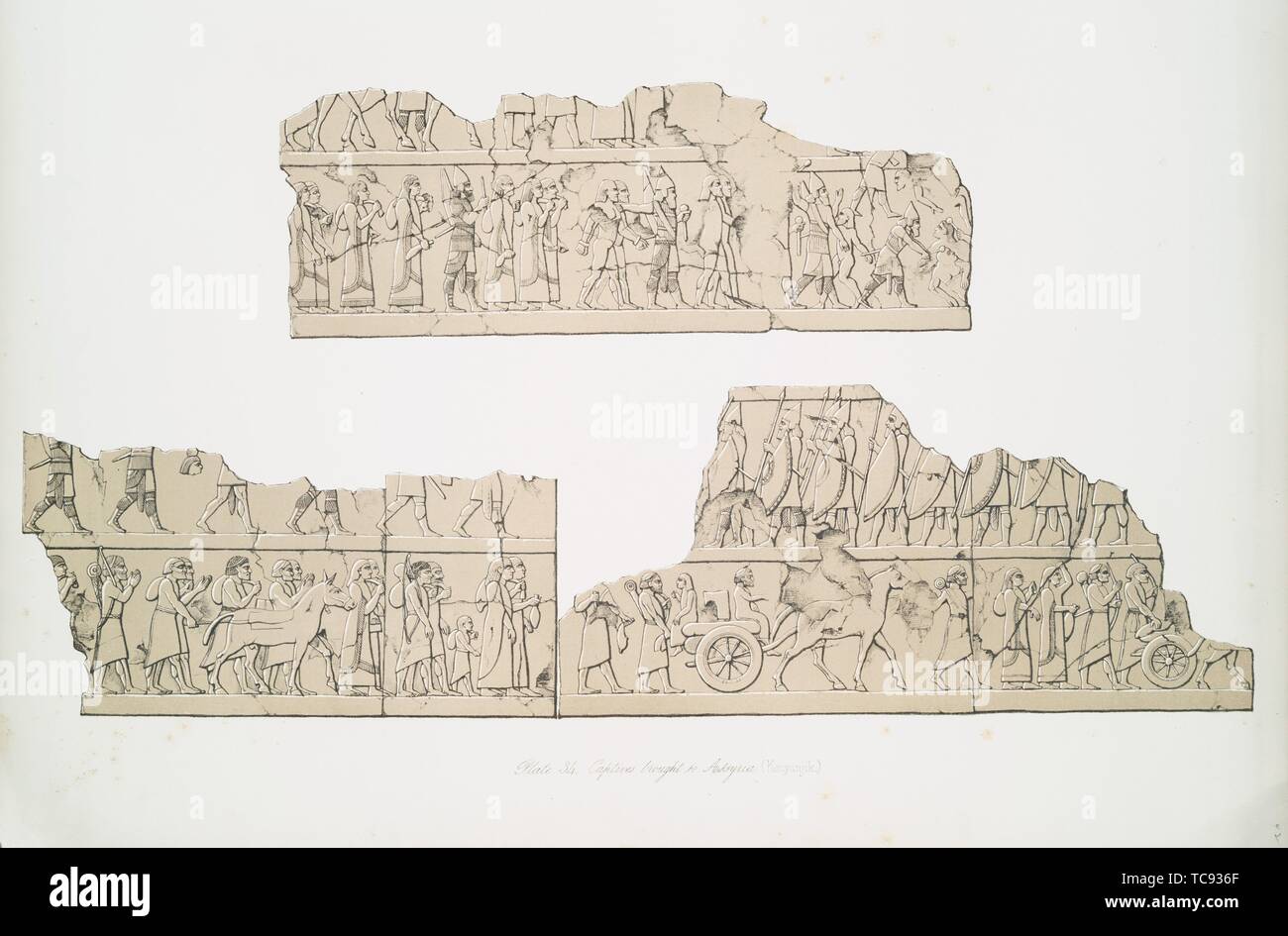 Nineveh layard hi-res stock photography and images - Alamy