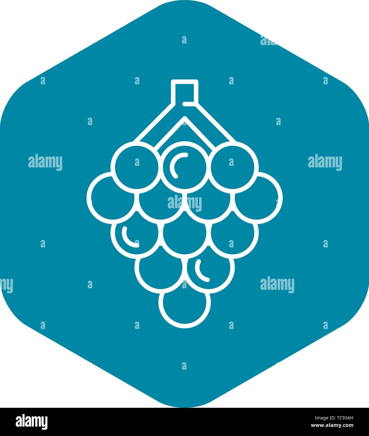 Vitis vinifera grapevine Stock Vector Images - Alamy